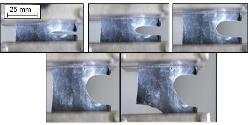 Pure Shear-Prüfkörper – Lexikon der Kunststoffprüfung